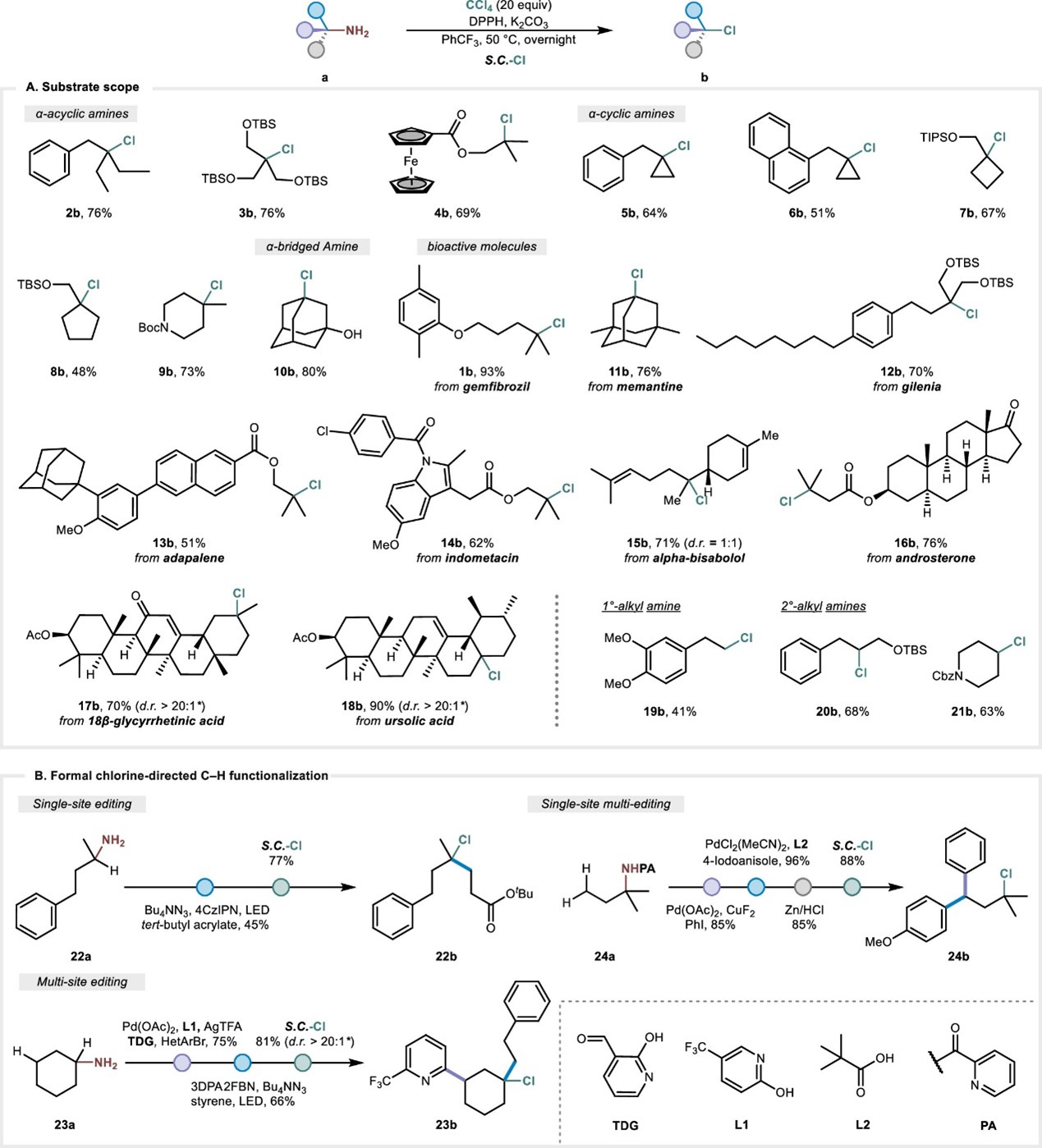 南京大学陆红健团队JACS发文：脱胺卤代反应