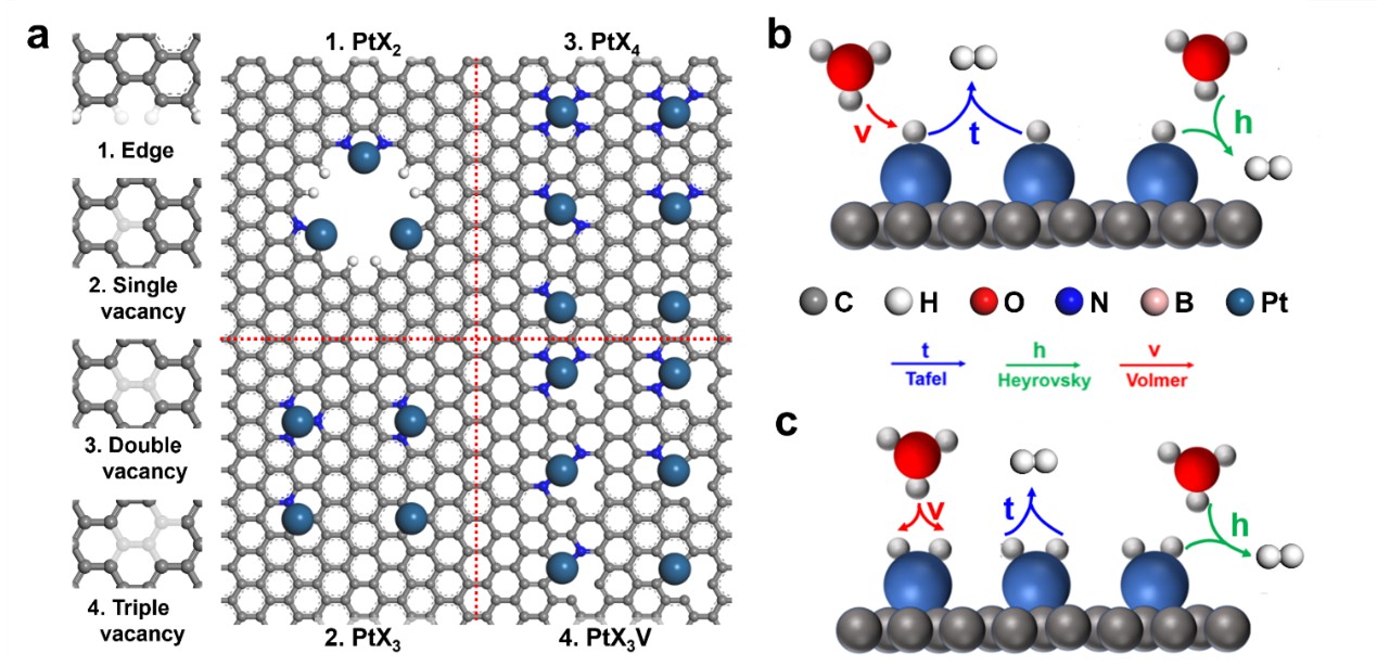 Volmer/Heyrovsky-Dominated Hydrogen Evolution on Pt-N-C Single Sites ...