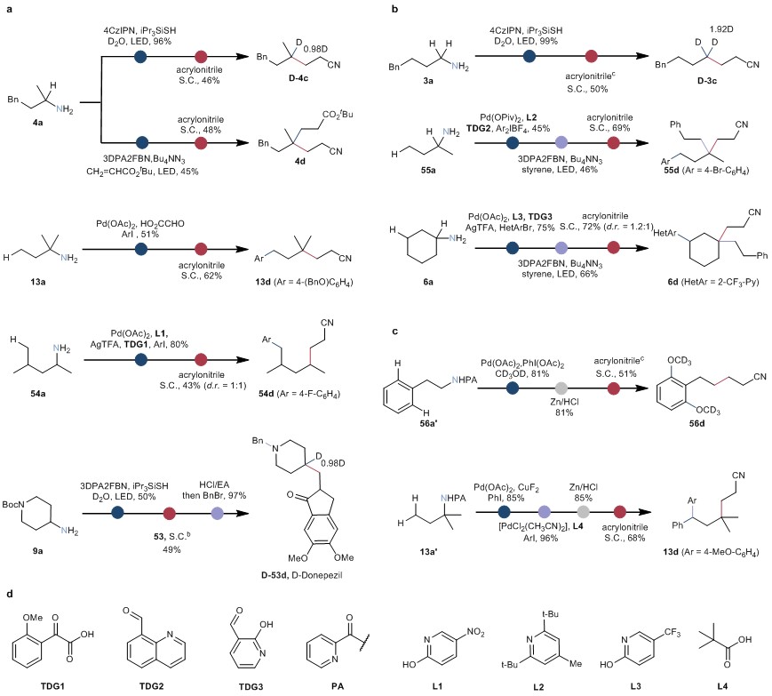 南京大学陆红健团队Nature Chemistry发文：脱胺Giese反应